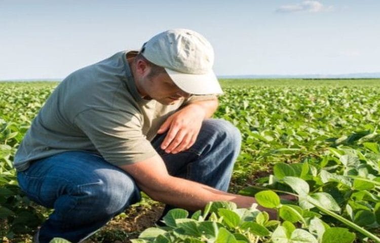 Efemérides: Día Nacional del Ingeniero Agrónomo