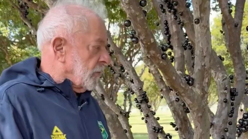 Lula ofrece fruta "jabuticaba" a Trump para desescalar tensiones ...